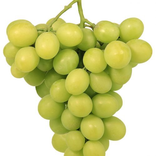 Sun World Archives - Australian Table Grape Association