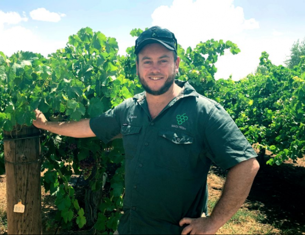 Dominic Sergi - Australian Table Grape Association