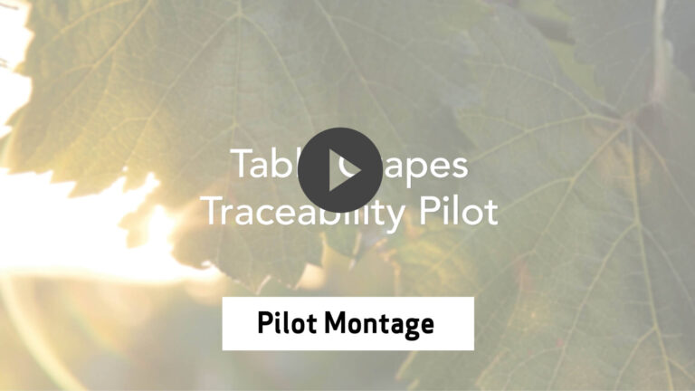 Traceability - Australian Table Grape Association