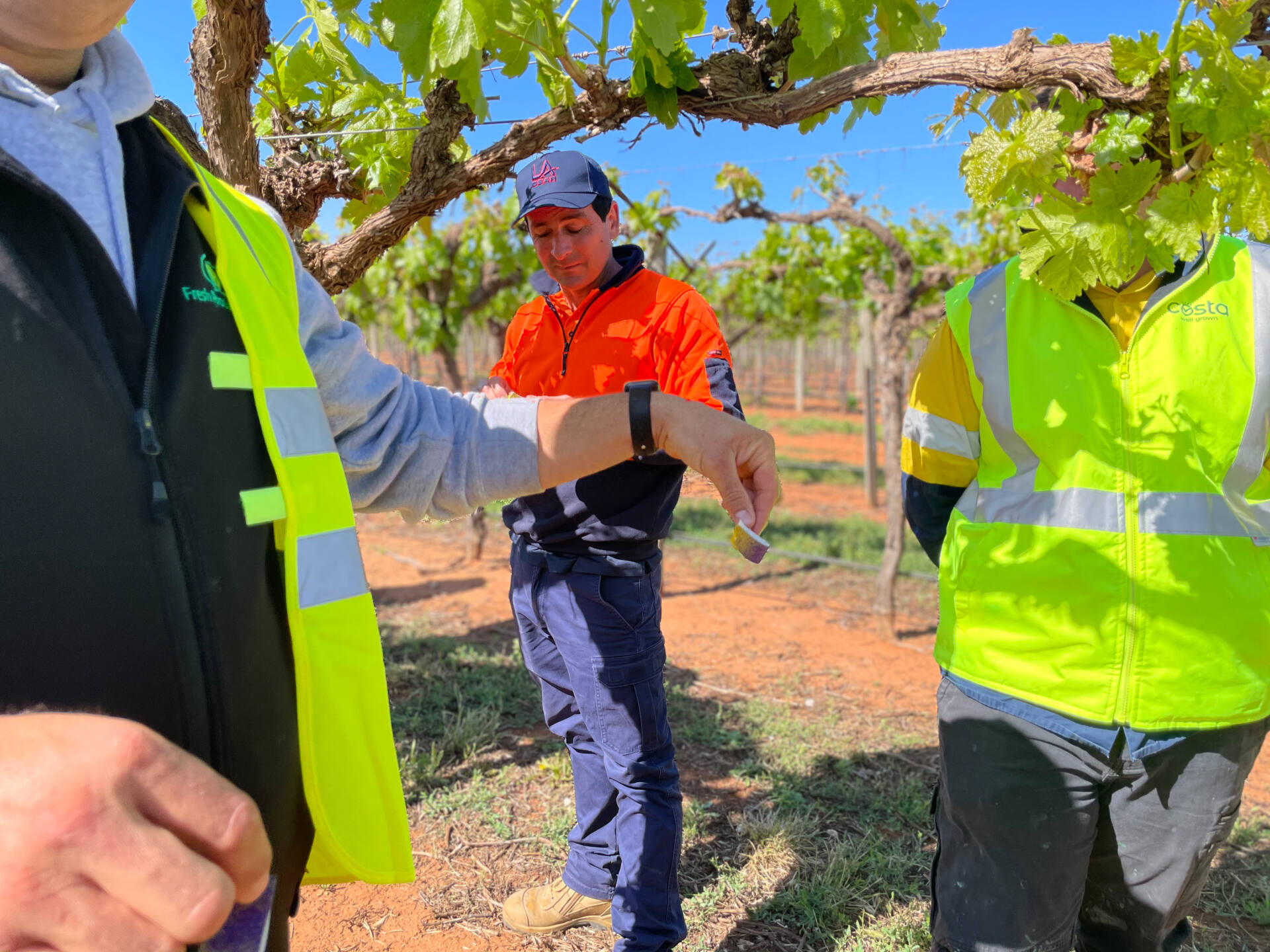 Spray application workshops - Australian Table Grape Association