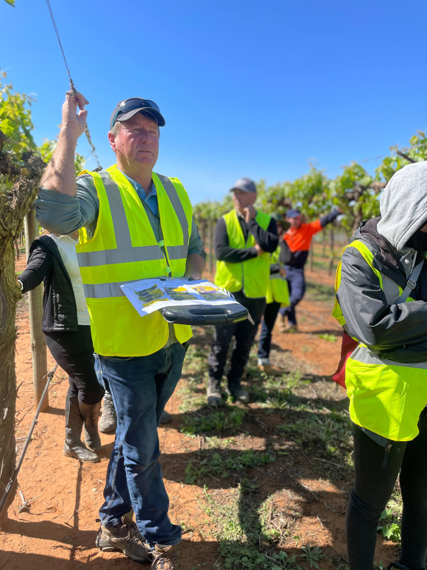 Spray application workshops - Australian Table Grape Association