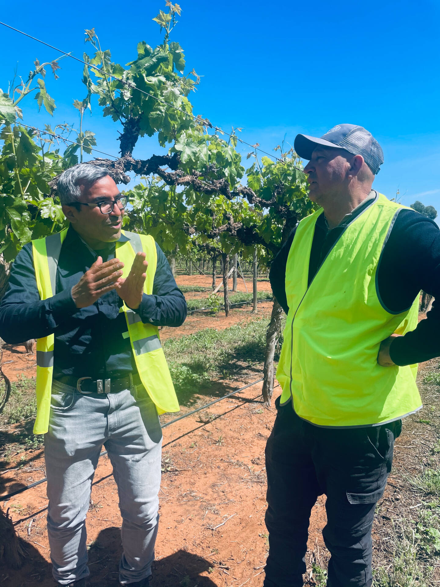 Spray Application Workshops Australian Table Grape Association spray-application-workshops-australian-table-grape-association