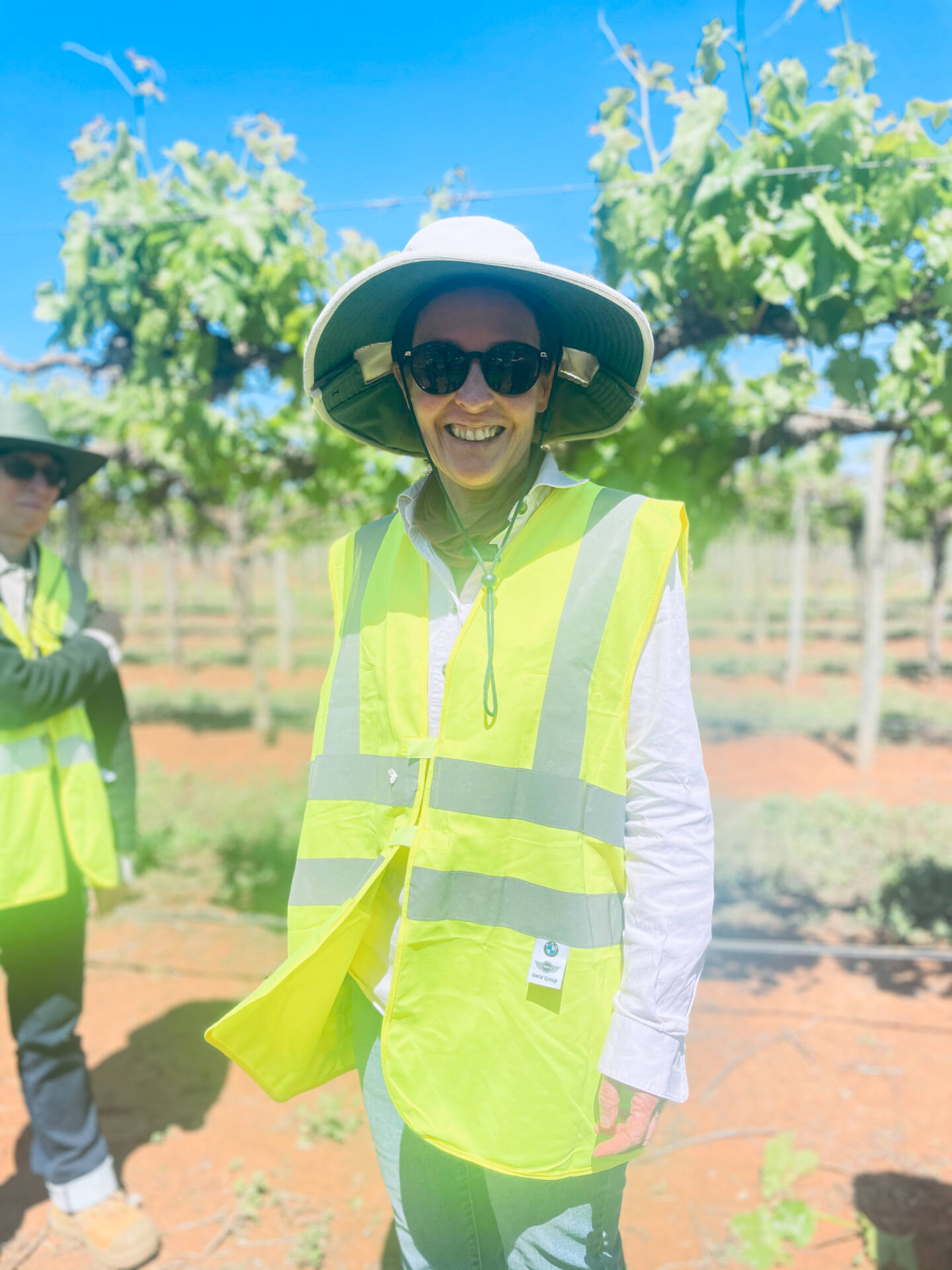 Spray Application Workshops Australian Table Grape Association spray-application-workshops-australian-table-grape-association
