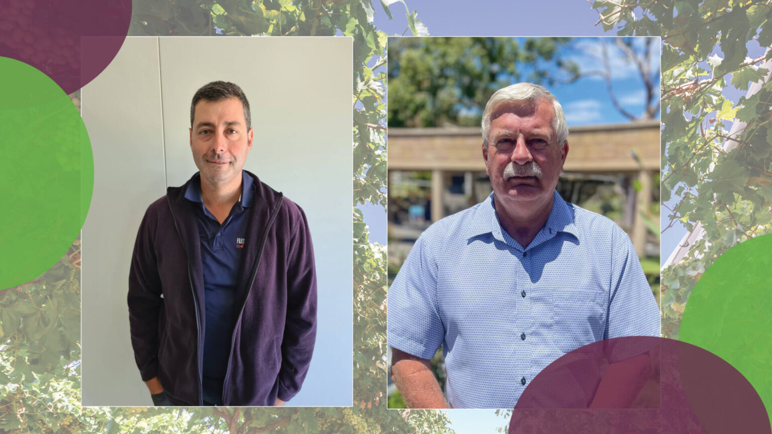 ATGA publications - Australian Table Grape Association