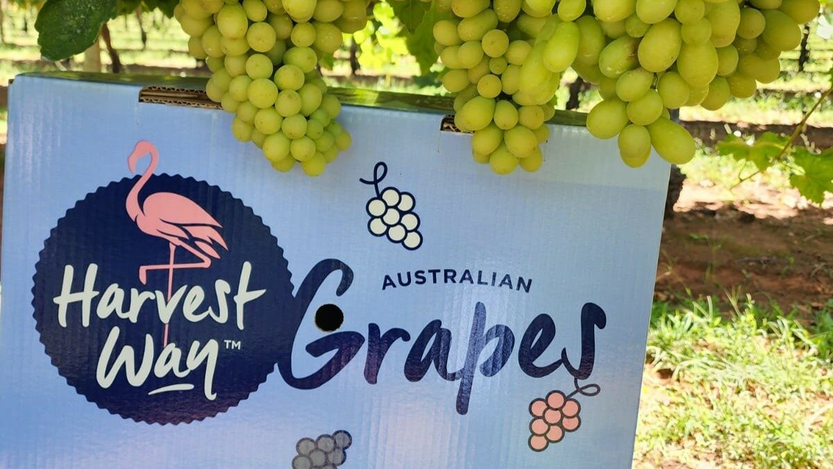 FT Farming Group - Australian Table Grape Association