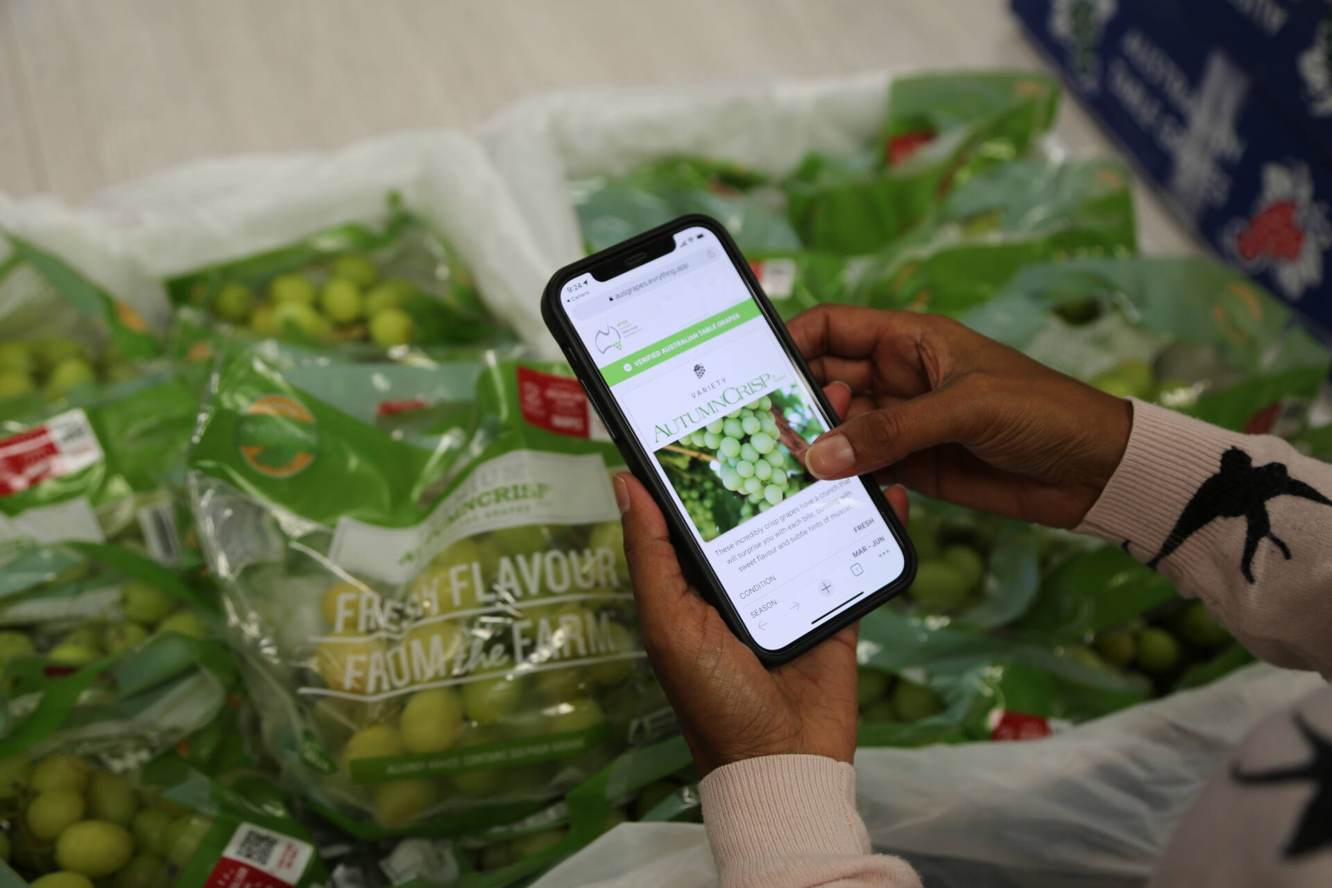 Australian Table Grape Association Inc.