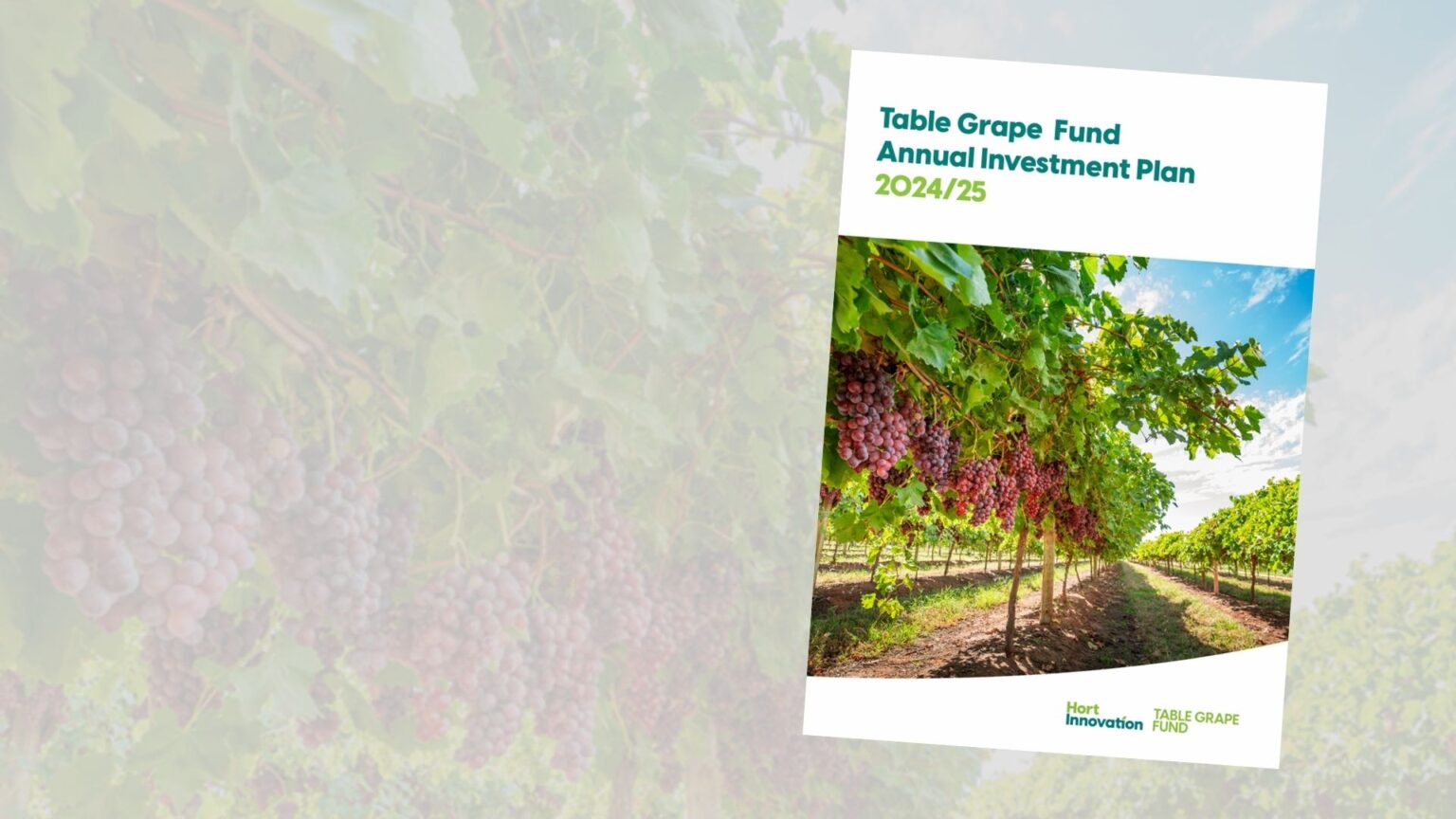 Australian Table Grape Association Inc.