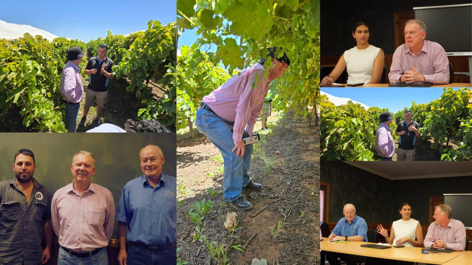 ATGA publications - Australian Table Grape Association
